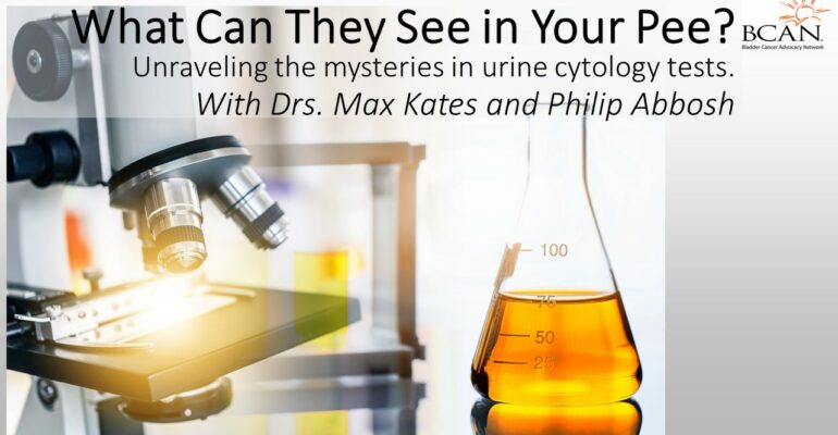 What Can They See In Your Pee | Unraveling the Mysteries of Urine ...