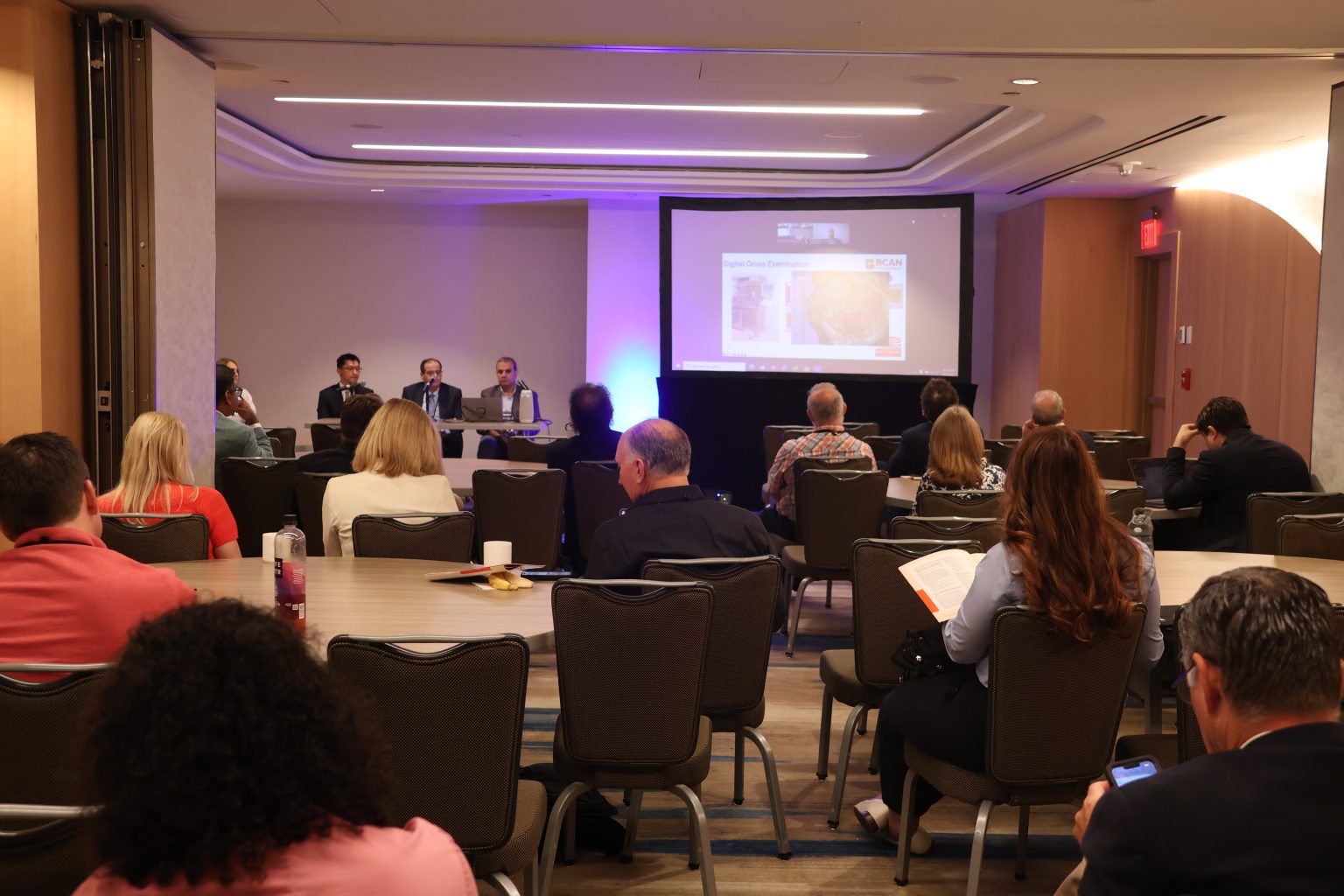 2025 Bladder Cancer Think Tank Meeting – Bladder Cancer Advocacy Network